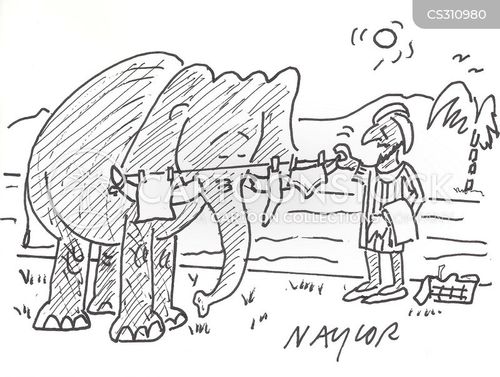 Raj Cartoons and Comics - funny pictures from CartoonStock