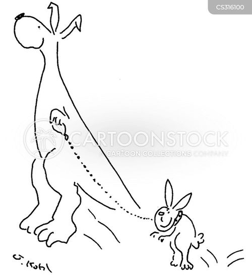 Rabbit Cartoons and Comics - funny pictures from CartoonStock