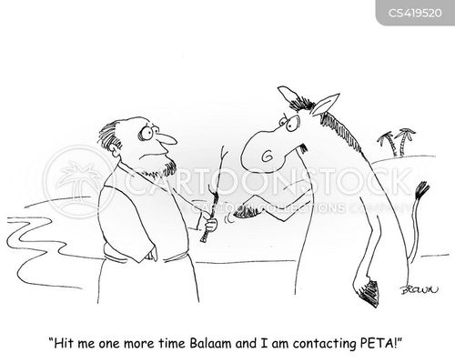 Balak: No Leg to Stand On | yonatansredni