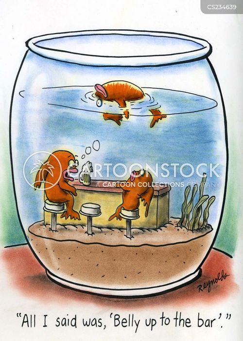 Belly Up Cartoons and Comics - funny pictures from CartoonStock