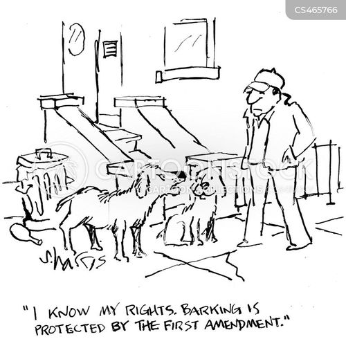 1st Amendment Cartoons and Comics - funny pictures from CartoonStock