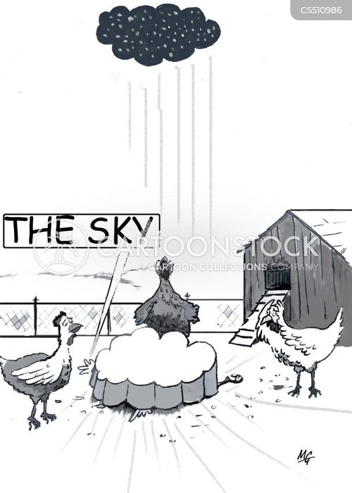 Sky Is Falling Cartoons and Comics - funny pictures from CartoonStock