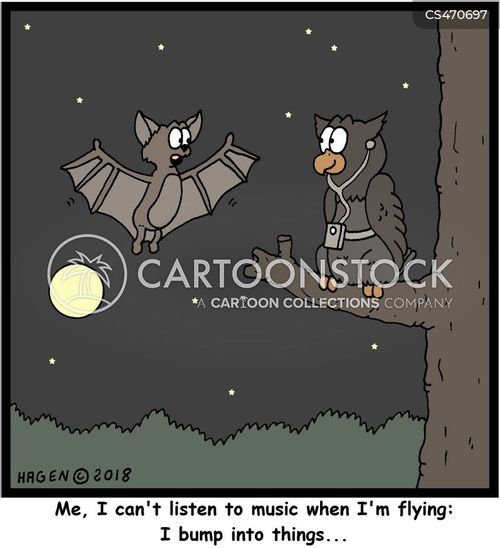 Echolocation Cartoons and Comics - funny pictures from CartoonStock