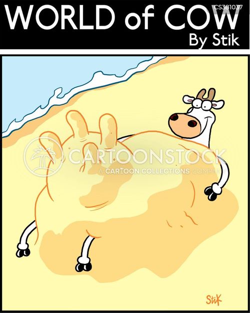 Sea Cow Cartoons and Comics - funny pictures from CartoonStock