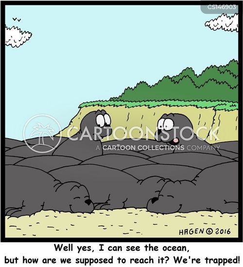 Heard Cartoons and Comics - funny pictures from CartoonStock