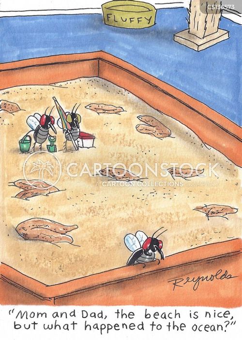 Beach Seller Cartoons and Comics - funny pictures from CartoonStock