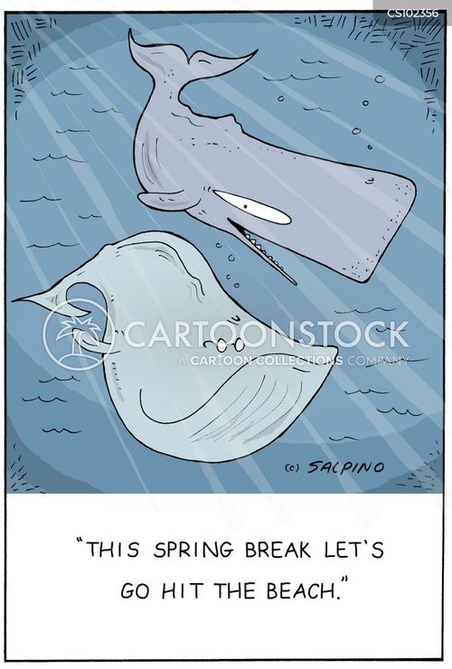 Spring Break Cartoons and Comics - funny pictures from CartoonStock