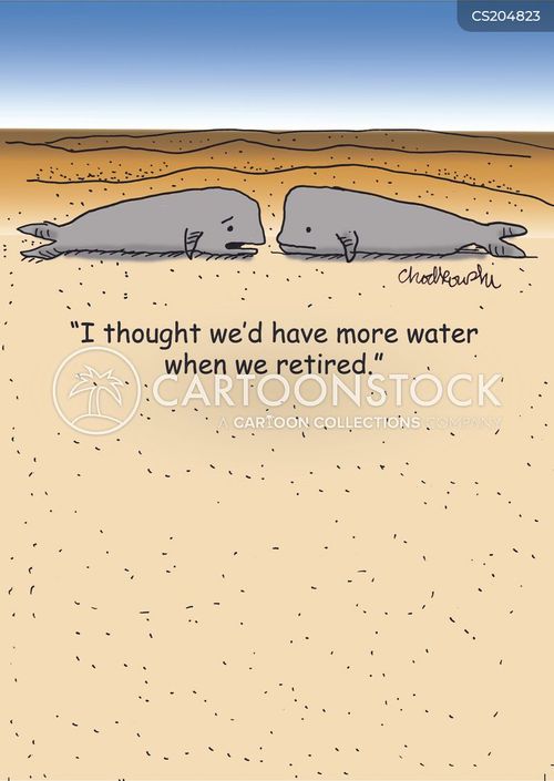 Beached Whale Cartoons and Comics - funny pictures from CartoonStock