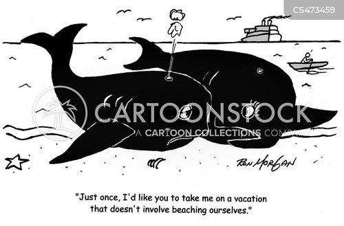 Beached Whale Cartoons and Comics - funny pictures from CartoonStock