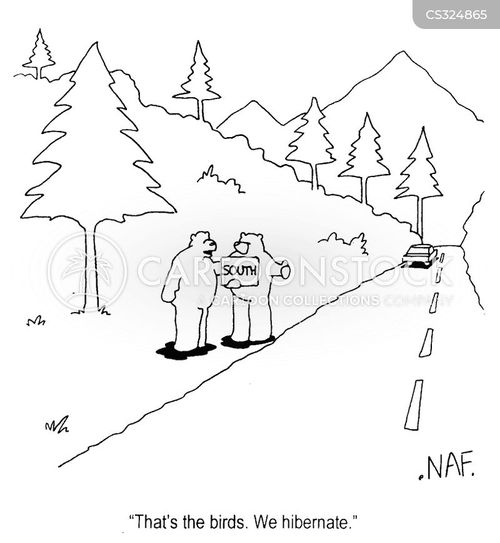 Bird Migration Cartoons and Comics - funny pictures from CartoonStock