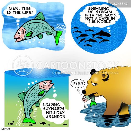 Salmon Cartoons and Comics - funny pictures from CartoonStock