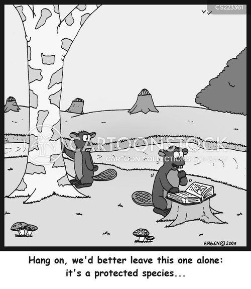 Leave It To Beaver House Cartoons and Comics - funny pictures from ...
