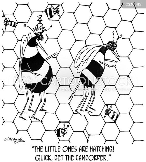 Apiculture Cartoons and Comics - funny pictures from CartoonStock