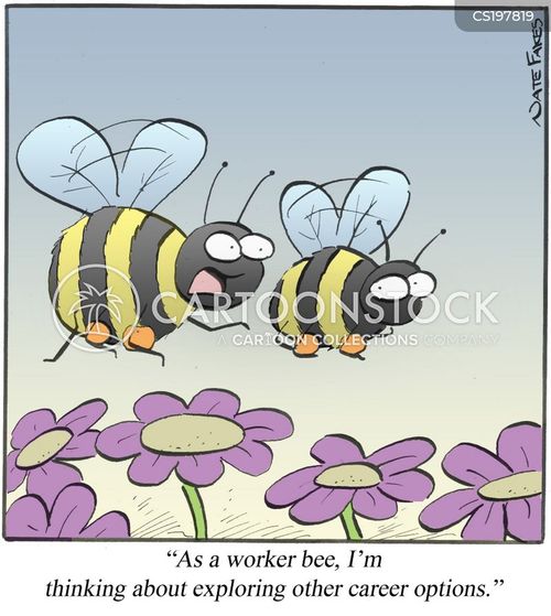 Career Options Cartoons and Comics - funny pictures from CartoonStock