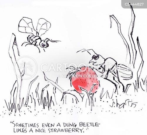 Strawberry Cartoons and Comics - funny pictures from CartoonStock