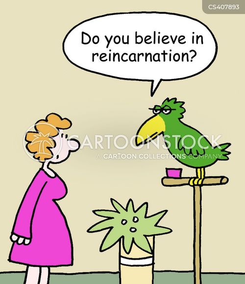 Reincarnation Cartoons Humorous