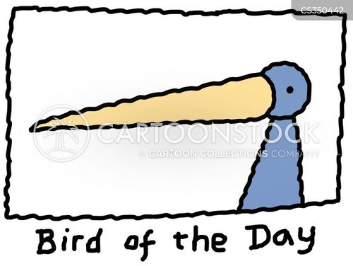 Bird Spotter Cartoons and Comics - funny pictures from CartoonStock
