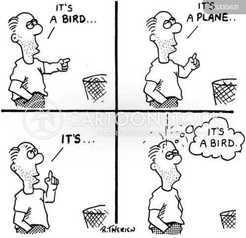 Bird Mess Cartoons and Comics - funny pictures from CartoonStock