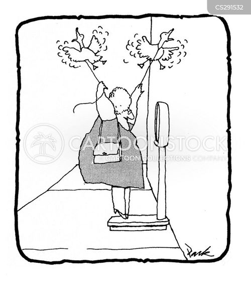 Myna Birds Cartoons and Comics - funny pictures from CartoonStock
