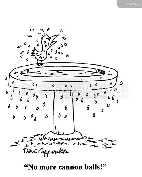 Birdbath Cartoons and Comics - funny pictures from CartoonStock