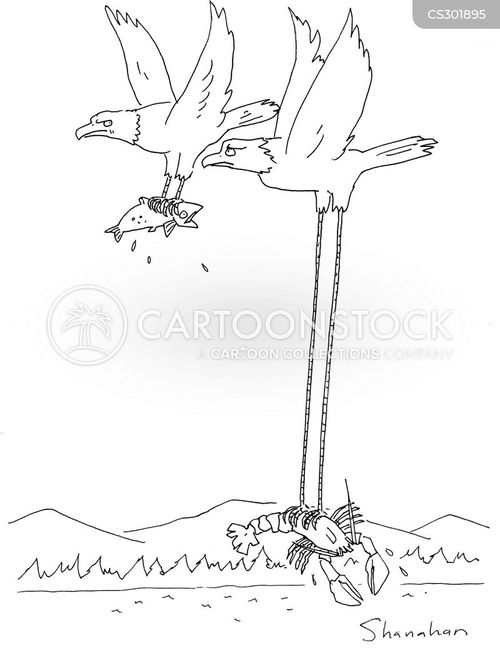 Long Legs Cartoons and Comics - funny pictures from CartoonStock