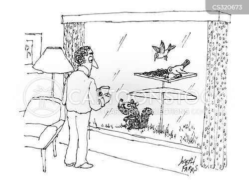 Birdtable Cartoons and Comics - funny pictures from CartoonStock