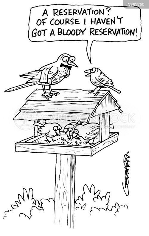 Feed The Birds Cartoons and Comics - funny pictures from CartoonStock