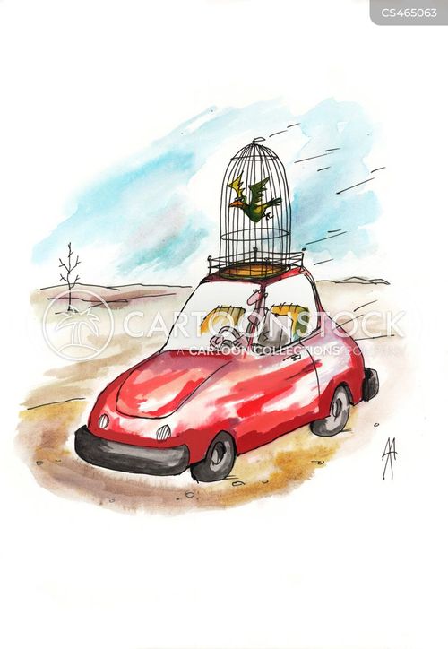 Bird Wingspan Cartoons and Comics - funny pictures from CartoonStock