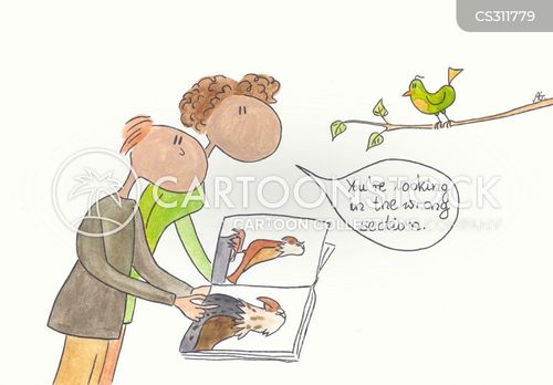 Birders Cartoons and Comics - funny pictures from CartoonStock