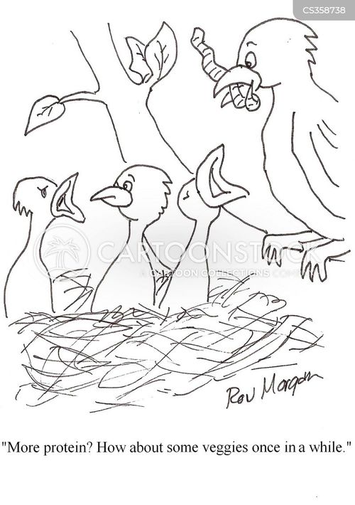 Baby Bird Eating Cartoon