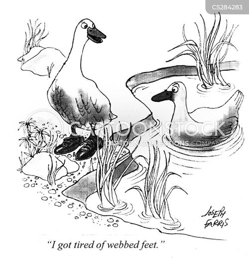 Webbed Cartoons and Comics - funny pictures from CartoonStock