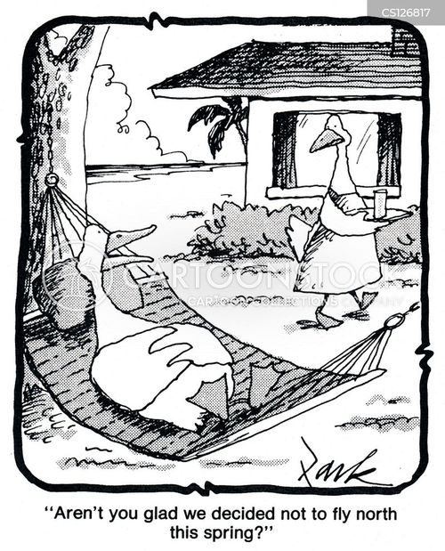 Migrants Cartoons and Comics - funny pictures from CartoonStock
