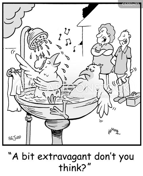 Birdbath Cartoons and Comics - funny pictures from CartoonStock
