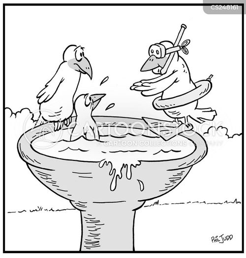 Flippers Cartoons and Comics - funny pictures from CartoonStock