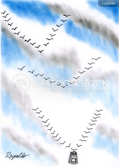 Zip Cartoons and Comics - funny pictures from CartoonStock