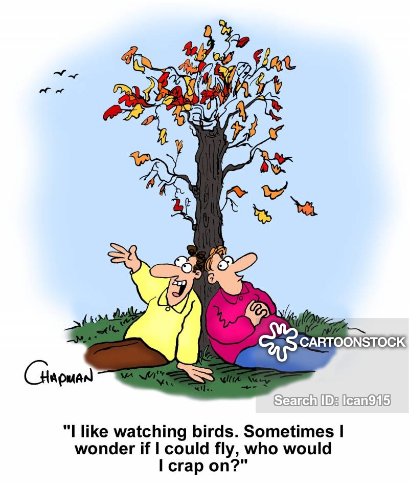 Birdpoop Cartoons and Comics - funny pictures from CartoonStock