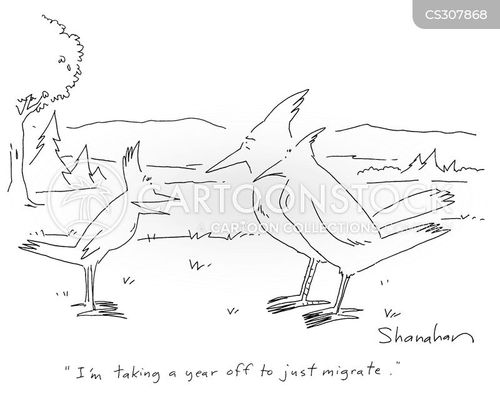 Migratory Cartoons and Comics - funny pictures from CartoonStock