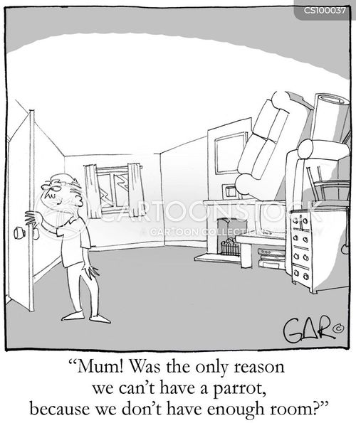 Talking Parrot Cartoons and Comics - funny pictures from CartoonStock
