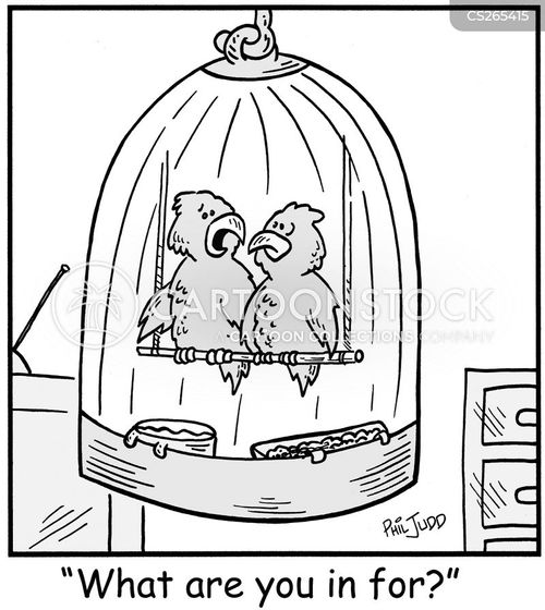 Feather Brain Cartoons and Comics - funny pictures from CartoonStock