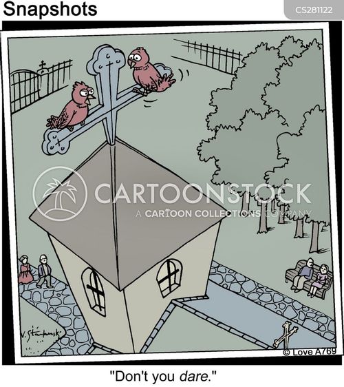 Bird Shit Cartoons and Comics - funny pictures from CartoonStock