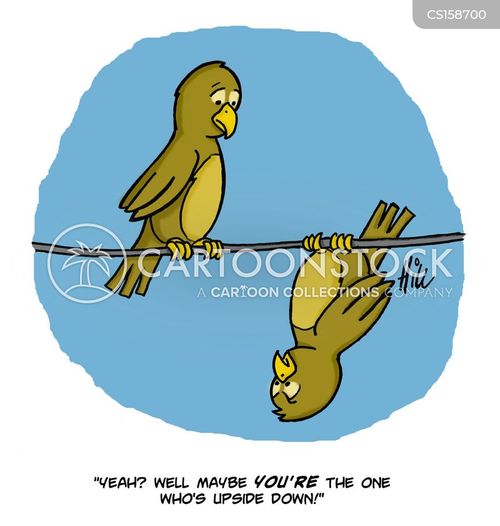 Upside-down Bird Cartoons and Comics - funny pictures from CartoonStock