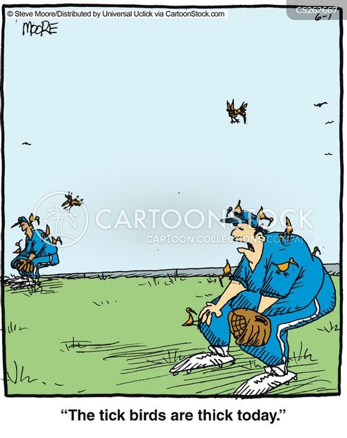 Tick Birds Cartoons and Comics - funny pictures from CartoonStock