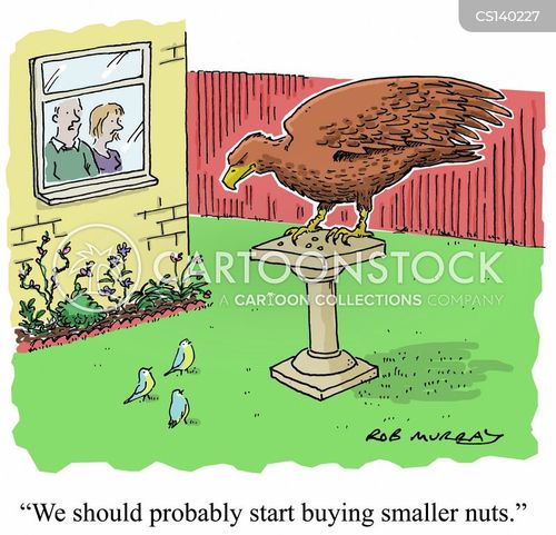 Bird Table Cartoons and Comics - funny pictures from CartoonStock