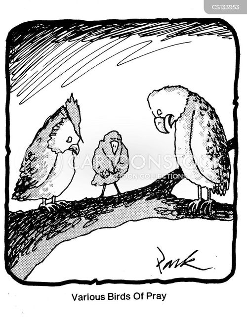 Hawk Cartoons and Comics - funny pictures from CartoonStock