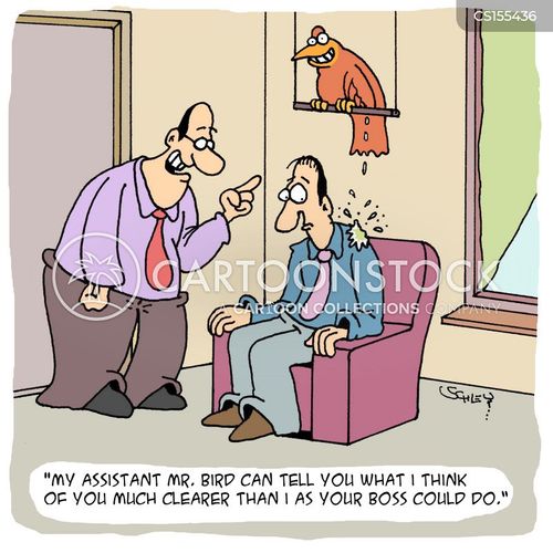 Bird Poop Cartoons and Comics - funny pictures from CartoonStock