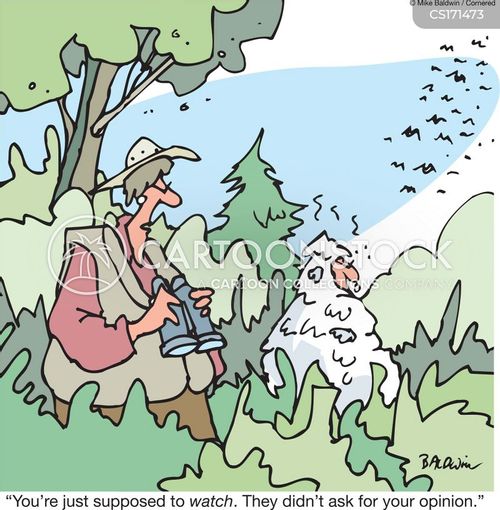 Bird Poop Cartoons and Comics - funny pictures from CartoonStock