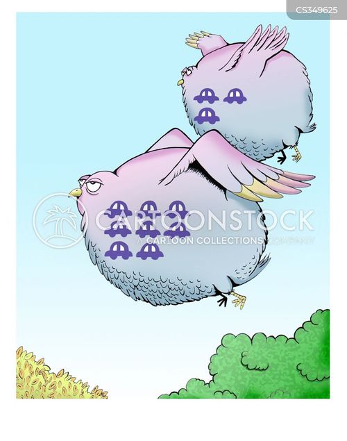 Bird Mess Cartoons and Comics - funny pictures from CartoonStock