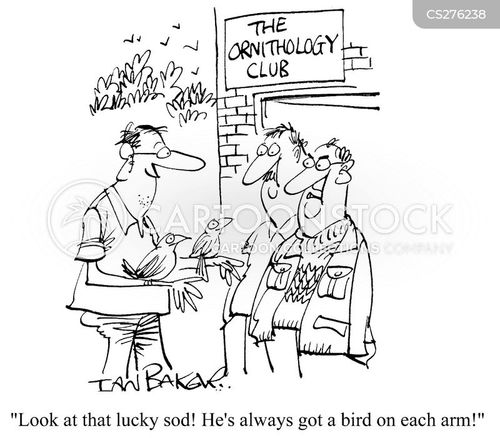 Looker Cartoons and Comics - funny pictures from CartoonStock