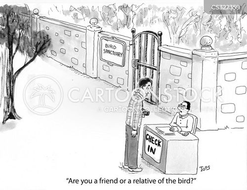 Bird Sanctuary Cartoons and Comics - funny pictures from CartoonStock
