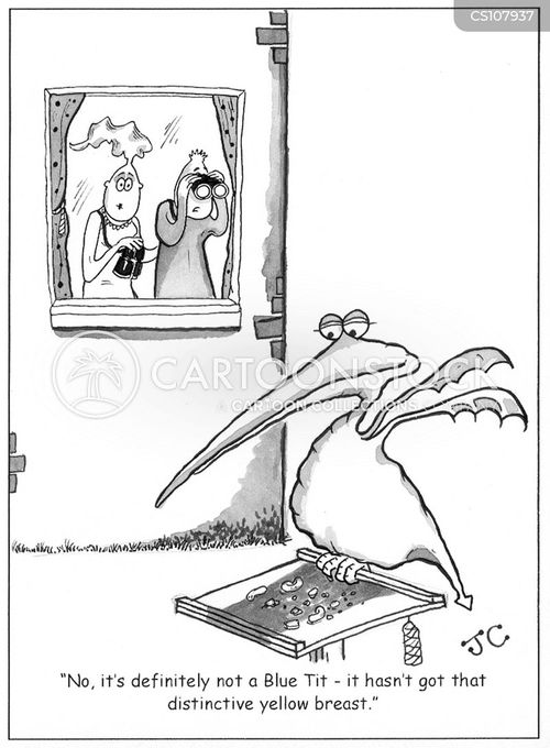 Watching Birds Cartoons and Comics - funny pictures from CartoonStock